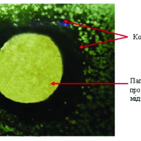 Morphological Features Of Some Colonies Of Sulfur Oxidizing Bacteria In