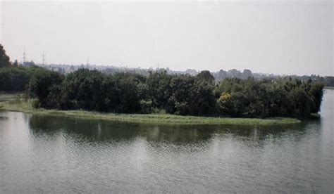 Hebbal Lake The Ultimate Destination For Adventure Seekers
