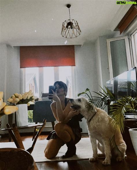 Seray Kaya Gethu Cinema