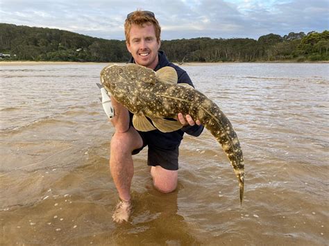 How To Catch Dusky Flathead Hooked Up Magazine