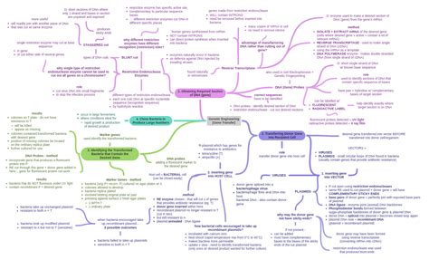 Genetic Engineering Gene Transfer Coggle Diagram
