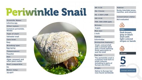 Snail Pollination At Melissa Lindstrom Blog
