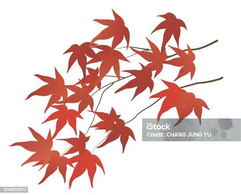 Japanese Style Vector Autumn Red Maple Leaf Branches Stock Illustration