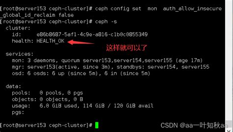 Ceph分布式存储系统的介绍及详细安装部署过程：详细实战版（保姆级）ceph存储部署 Csdn博客
