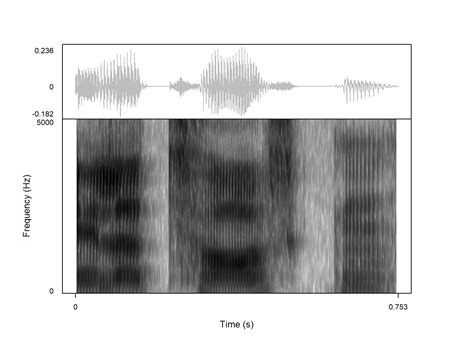 5 The Spectrogram Make Praat Picture Style Plots Of Acoustic Data In R