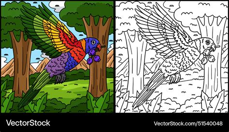 Loriini Bird Coloring Page Colored Royalty Free Vector Vectorstock