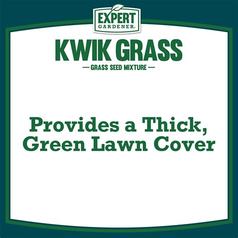 Expert Gardener Kwik Grass Fast Establishing Temporary Grass Seed Mix