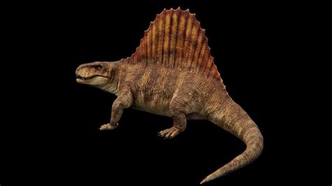 3d Model Dimetrodon Prehistoric Synapsid Vr Ar Low Poly Cgtrader