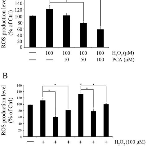 Protocatechuic Aldehyde Exhibits Endothelial Protection A