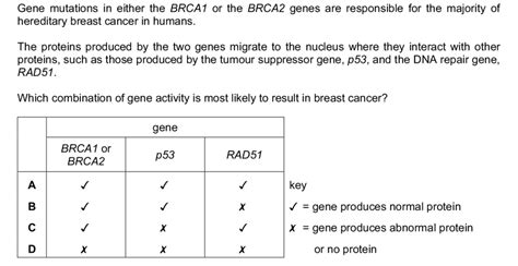 gene mutations in either the brca1 or the brca2 genes are responsible for