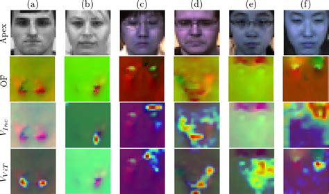 Attention Map Visualization Of Our Inceptr In Samm Column A B
