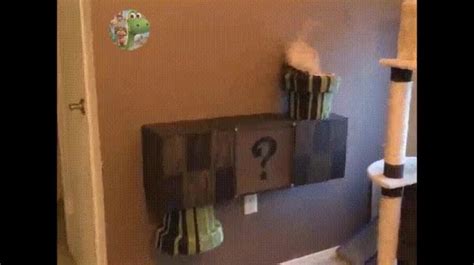 Super Mario Kitty R Aww