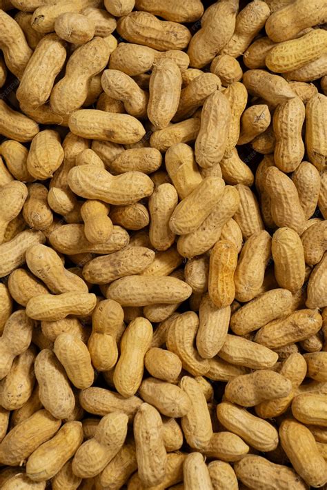 Vue De Dessus De Délicieux Arrangements De Cacahuètes Photo Gratuite