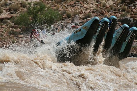 Terry Watson Favorites