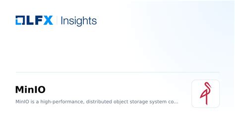 Minio Popularity Insights