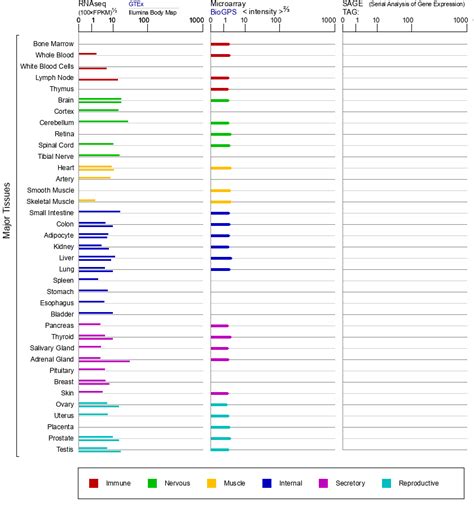 Dab1 Gene Genecards Dab1 Protein Dab1 Antibody