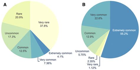 Statistics On Groups Of Hpo Terms In A Cross Validation Scenario A