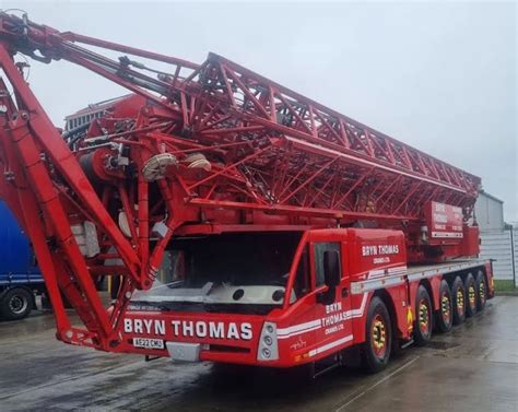 Cranes Cranehire Dylan Thomas