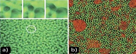 Spinodal Decomposition In A Colloid Polymer Mixtures 115 And In B