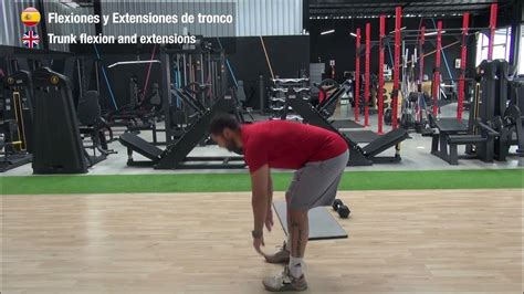 Flexiones Y Extensiones De Tronco Trunk Flexion And Extensions Youtube