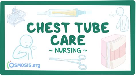 What To Do If Chest Tube Comes Out Nursing The Tube