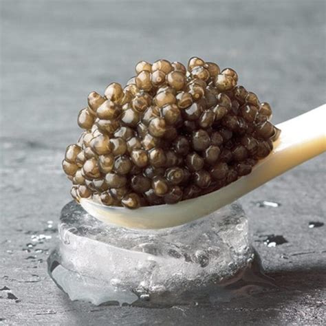 Caviar Cultivado Y Sin Necesidad De Esturiones Rebel