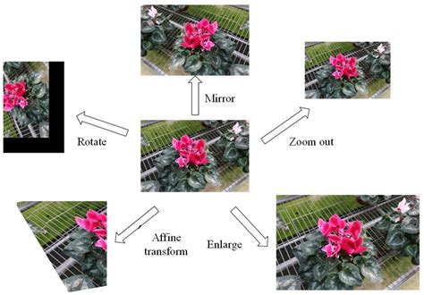 Real Time Detection And Location Of Potted Flowers Based On A Zed Camera And A Yolo V4 Tiny Deep