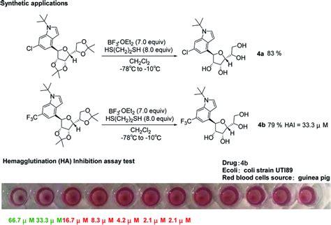 Synthetic Applications And Biochemical Experiment Download Scientific
