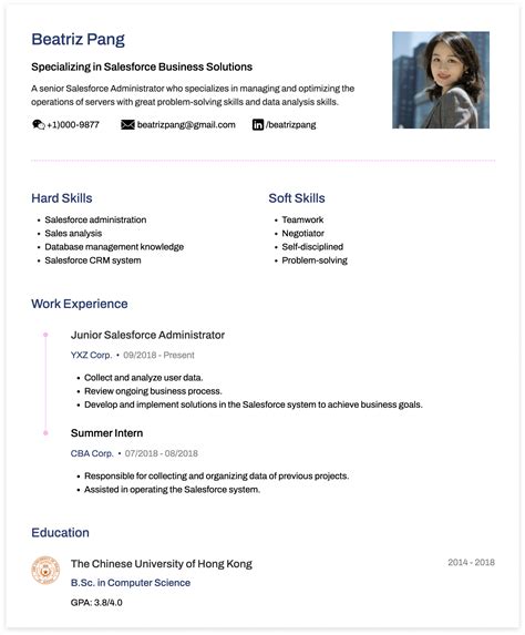 Salesforce Administrator Resume Sample