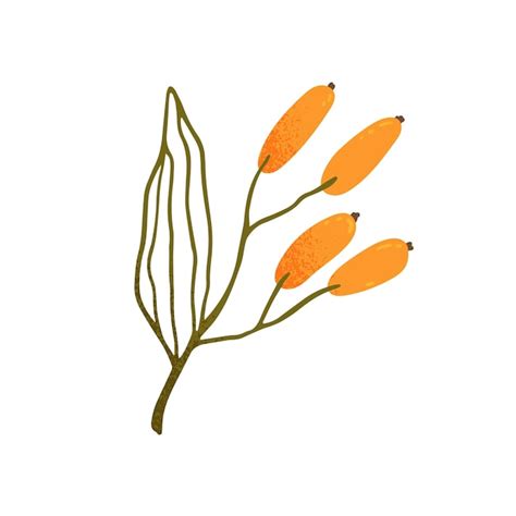 Premium Vector Decorative Autumn Branch With Leaf And Yellow Fruits Twig With Leaves And Ripe