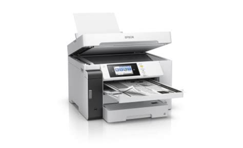 Купить МФУ струйное ЧБ Epson M15180 C11CJ41408, А3+, до 32 стр/мин, ADF ...