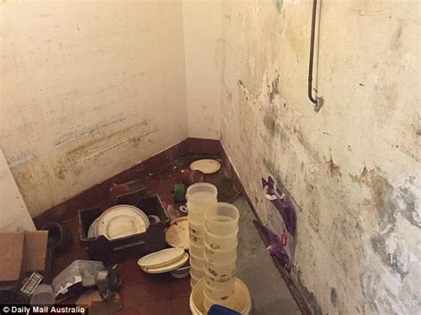 Perth Chinese Restaurant Renovators Expose Filthy Cockroach Infested Kitchen Daily Mail Online