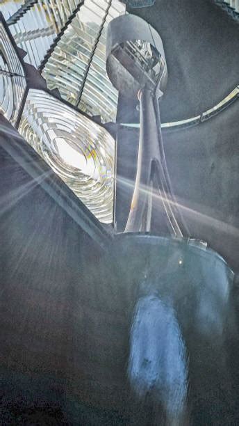 520 Diffuse Hyperplasia Foto Foto Stok Potret And Gambar Bebas Royalti Istock