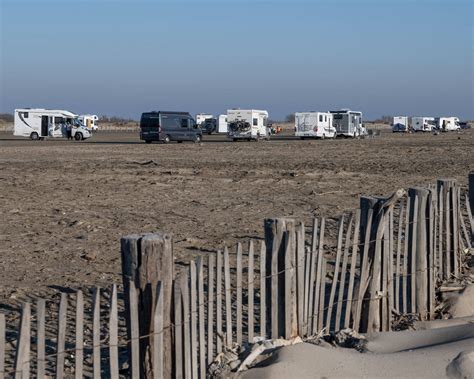 Pèlerinage Gitane Plusieurs Blessés Signalés Americano Sports