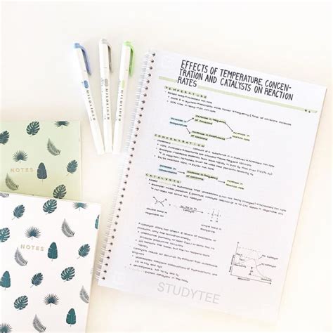 Therese • 🇳🇴 Studytee • Instagram Photos And Videos Studie