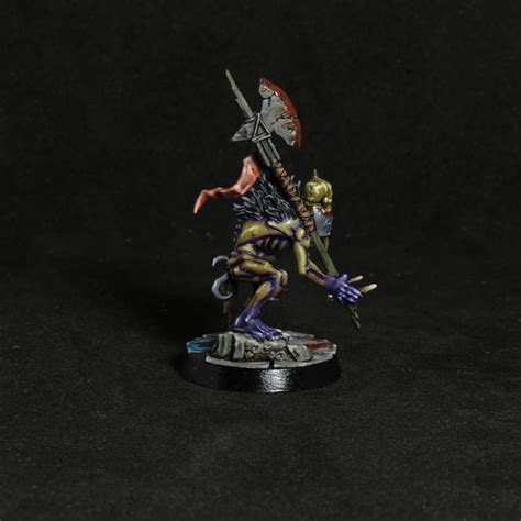 My First Sigmar Mini Is A Most Honourable Royal Guard Rageofsigmar