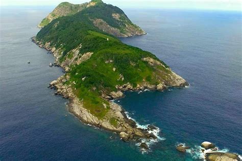 Conozca La Isla De Las Serpientes En Sao Paulo El Lugar Prohibido De
