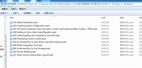 国外顾问英语授课 2020年sap Project 101 A Step By Step Sap Implementation Guide
