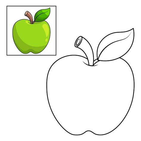 Coloriage Pomme Fruit Vert Vecteur Premium
