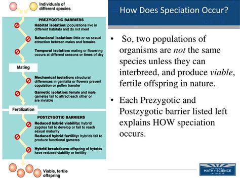 Ppt Macroevolution Part Ii Allopatric Speciation Powerpoint