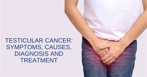 Testicular Cancer Symptoms Causes Diagnosis And Treatment Pi Health Cancer Hospital