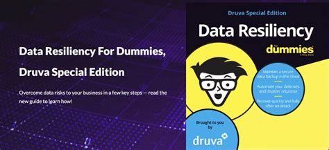 Druva On Linkedin Data Resiliency For Dummies Druva Special Edition