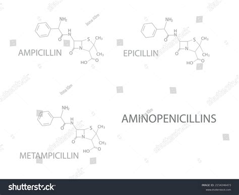 Aminopenicillins Molecular Skeletal Chemical Formula Stock Vector