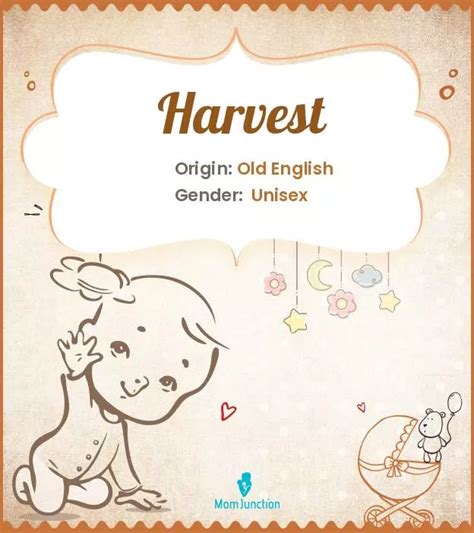 Explore Harvest Meaning Origin And Popularity