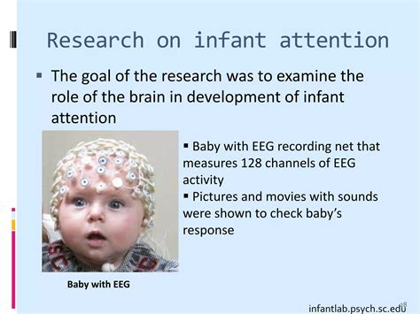 Electroencephalogrameeg Pptx