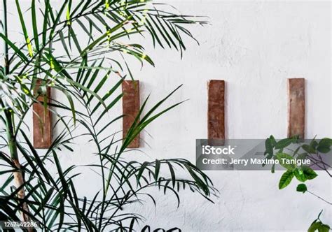 Daun Palem Dan Batu Bata Di Dinding Putih Foto Stok Unduh Gambar