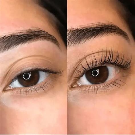 Eyelash Extension Lash Lift And Lash Tint Eyebrow Lamination