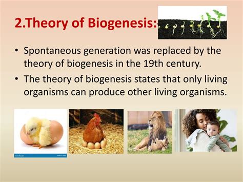 Evolution Ncert Pptx