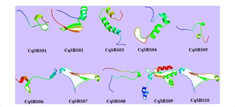 Tertiary Structure Prediction Of Srs Genes In Quinoa Download