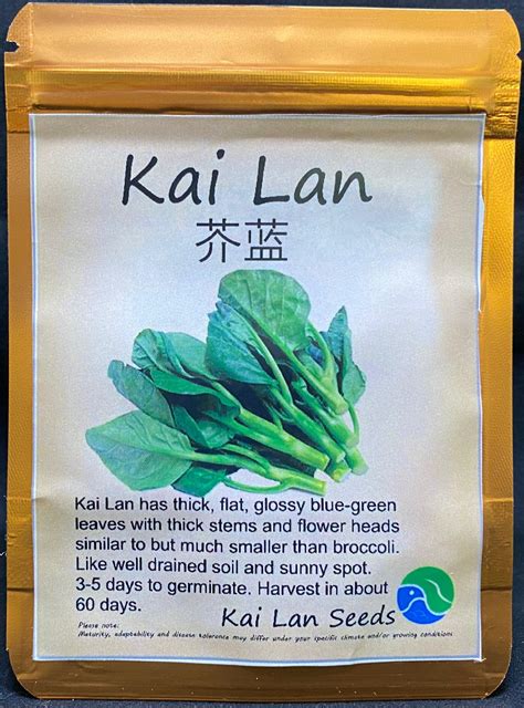 Vegetable Seeds Kai Lan Blueacres Lazada Singapore